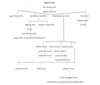 Yash Birla Family Tree | Yashovardhan Birla Family | yashbirla.in